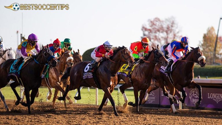 Learn about the horse racing betting rules you need to know